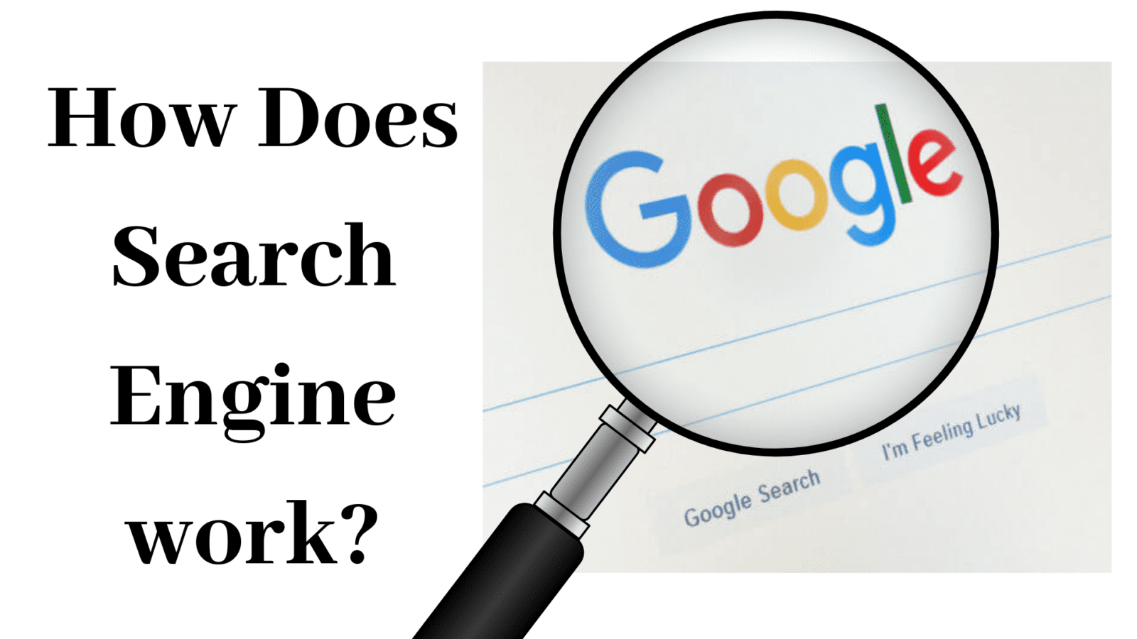 How Does Google Search Engine Works?