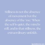 Stillness Quotes - QuoteMantra