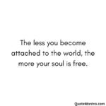 Soul Quotes - QuoteMantra