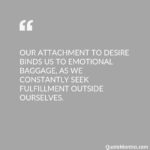 Emotional Baggage Quotes - QuoteMantra